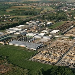 Slavonski hrast – Drvni klaster Vukovarsko-srijemske županije